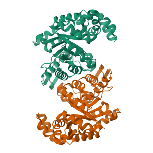 RCSB PDB - 8QQ8: Crystal Structure of F420-dependent Methylene ...