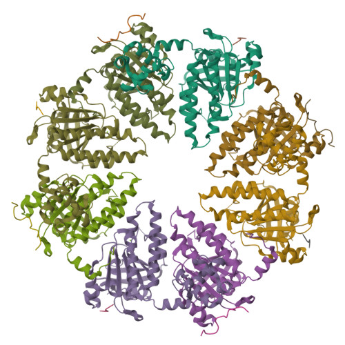 RCSB PDB - 8QQE: Crystal structure of the complex between DMC1 and the ...