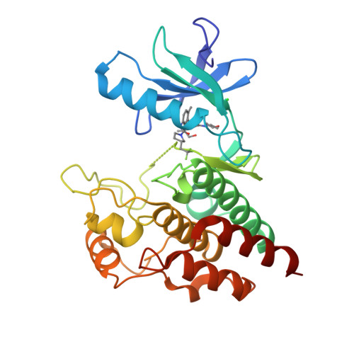 RCSB PDB - 8QQG: Structure of BRAF in Complex With Exarafenib (KIN-2787).
