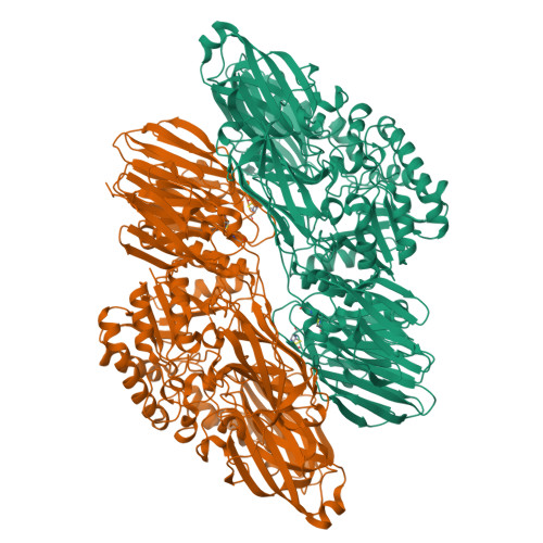 RCSB PDB - 8QQH: Structure of beta-galactosidase from Desulfurococcus ...
