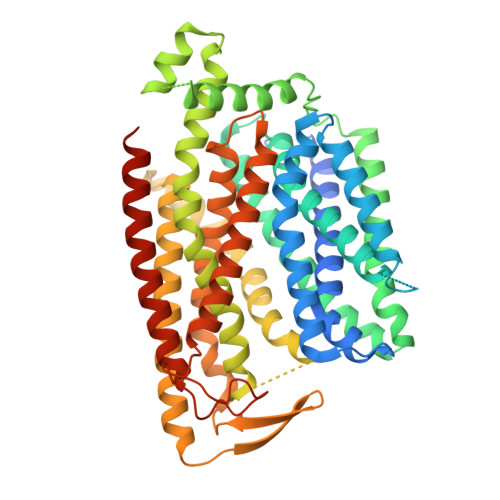 RCSB PDB - 8QSN: Cryo-EM structure of human SLC15A4 monomer in outward ...