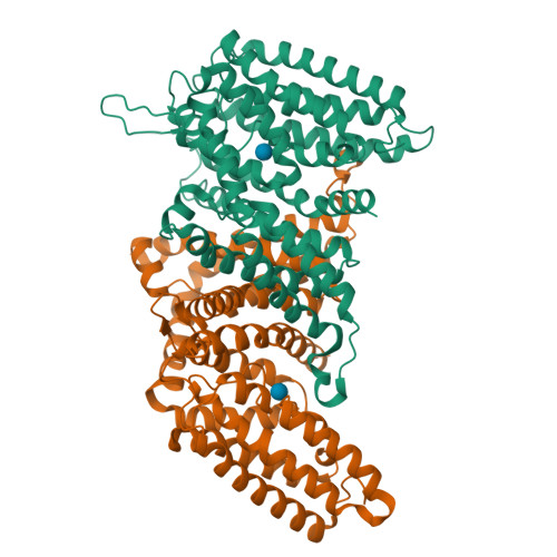 RCSB PDB - 8QST: Cryo-EM structure of the glucose-specific PTS ... RCSB PDB - 8QST: Cryo-EM structure of the glucose-specific PTS ...