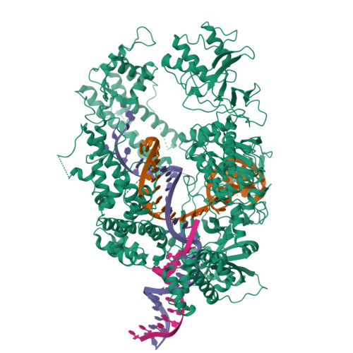 RCSB PDB - 8QWF: ReChb - crRNA - target dsDNA complex in the presence ...