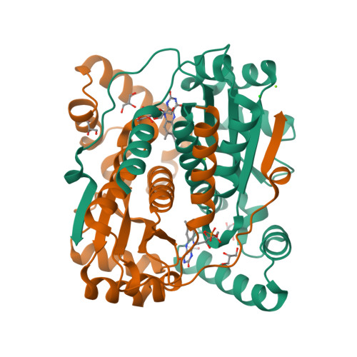 RCSB PDB - 8QYG: Crystal structure of Nitroreductase from Bacillus ...