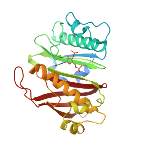 RCSB PDB - 8QZI: Crystal structure of PptT-ACP from Mycobacterium ...