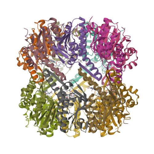 RCSB PDB - 8R03: Staphylococcus aureus ClpP in complex with the natural ...
