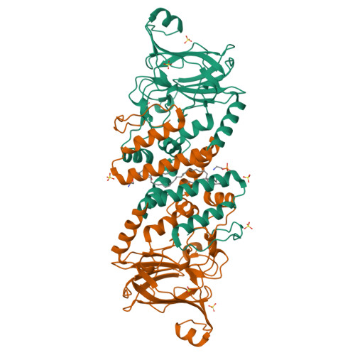 RCSB PDB - 8R2V: Crystal structure of hydroxyquinol-1,2-dioxygenase ...