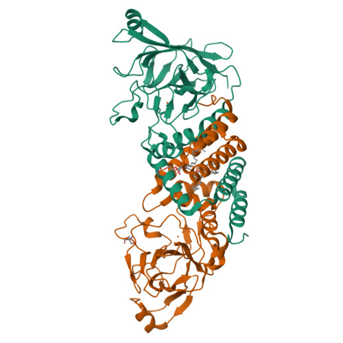 RCSB PDB - 8R2W: Crystal structure of hydroxyquinol-1,2-dioxygenase ...