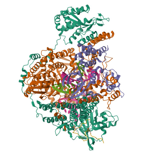 RCSB PDB - 8R3K: Influenza A/H7N9 polymerase in self-stalled pre ...
