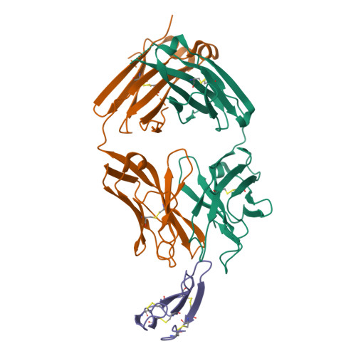 RCSB PDB - 8R4N: Crystal structure of neutralizing Fab Eq4.Dp46-3A from ...