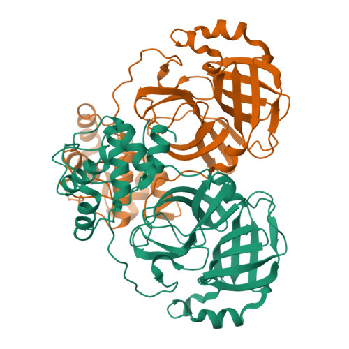 RCSB PDB - 8R5J: Crystal structure of MERS-CoV main protease