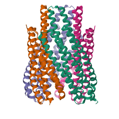 RCSB PDB - 8R5S: t113 - De-novo designed soluble homotetramer