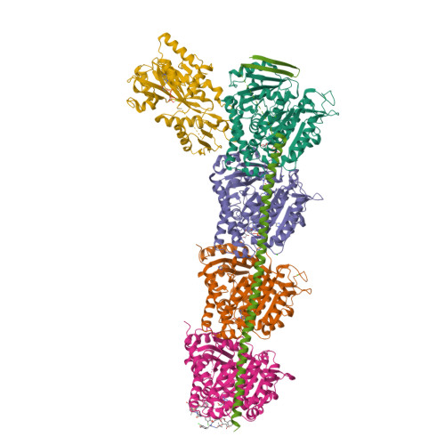 RCSB PDB - 8R67: tubulin-cryptophycin complex