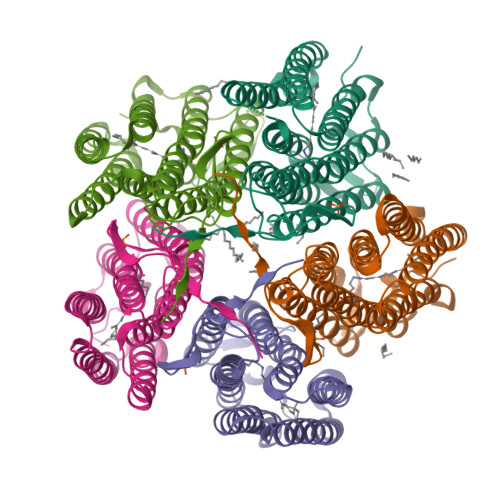 RCSB PDB - 8R98: Crystal structure of the cryorhodopsin CryoR2 at pH 4. ...