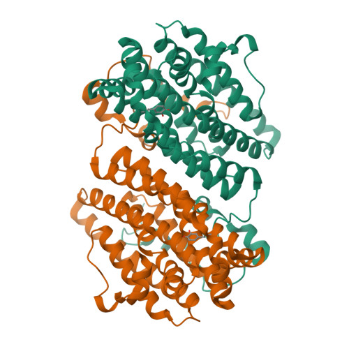 RCSB PDB - 8RAH: Crystal structure of class Ie ribonucleotide reductase ...