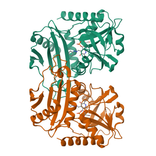 RCSB PDB - 8RAI: Crystal structure of D-amino acid transaminase from ...