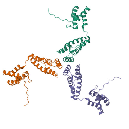 RCSB PDB - 8RB5: Structure of the three-fold capsomer of the PNMA2 capsid