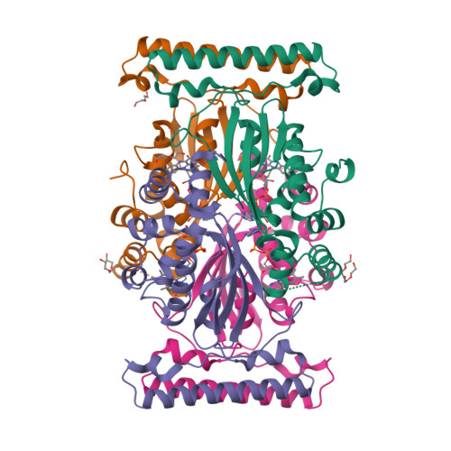 RCSB PDB - 8REN: Crystal structure of reduced ThyX