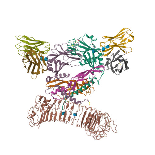 RCSB PDB - 8REX: CryoEM structure of mouse GARP-lTGFbeta1 in complex ...