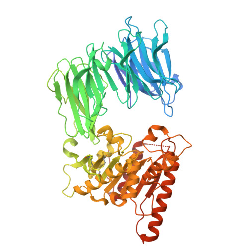 RCSB PDB - 8RFB: Cryo-EM structure of the R243C mutant of human Prolyl ...