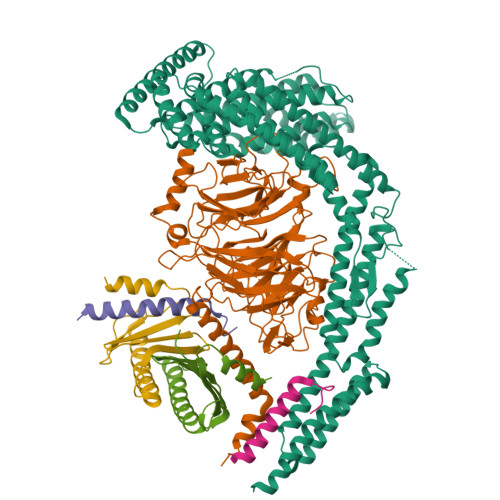 RCSB PDB - 8RGH: Structure of dynein-2 intermediate chain DYNC2I1 ...