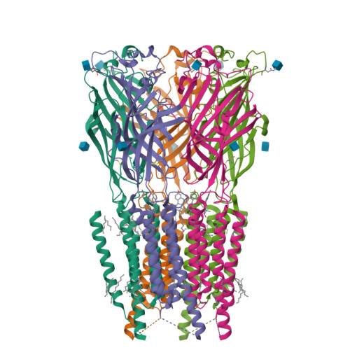 RCSB PDB - 8RH4: CryoEM structure of human rho1 GABAA receptor in ...