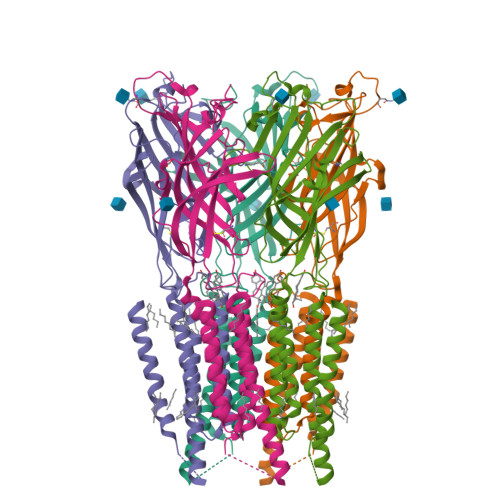RCSB PDB - 8RH7: CryoEM structure of human rho1 GABAA receptor in ...