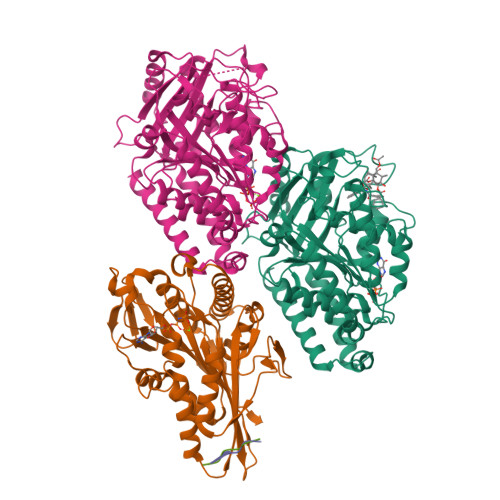 RCSB PDB - 8RHB: Microtubule-associated kinesin-1 tail complex bound to ...