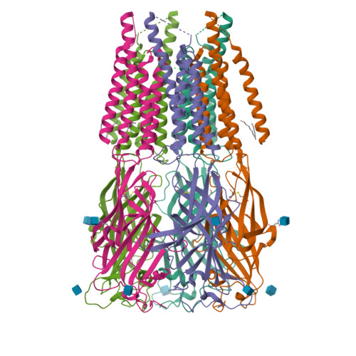 RCSB PDB - 8RHG: CryoEM structure of human rho1 GABAA receptor in ...