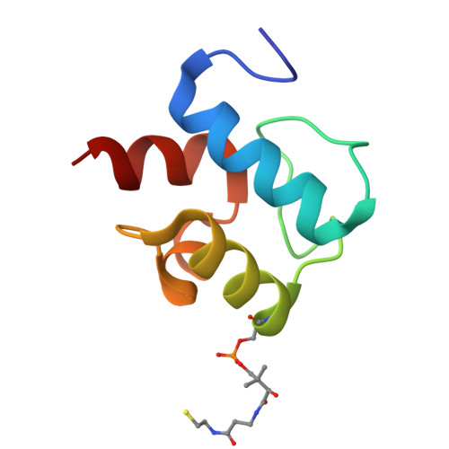 RCSB PDB - 8RHM: Solution structure of sulfazecin NRPS holo-PCP domain 3