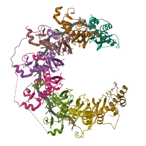 RCSB PDB - 8RJW: Human RAD52 open ring - ssDNA complex