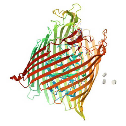RCSB PDB - 8RM3: Crystal structure of ferrioxamine transporter FoxA