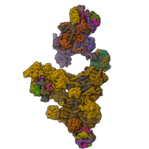 RCSB PDB - 8RM5: Cryo-EM structure of the cross-exon pre-B+5'ssLNG ...