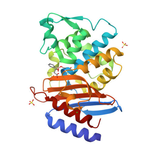 RCSB PDB - 8RMA: Structure of CTX-M-15 complexed with benzoxaborole AK-431