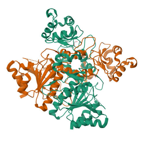 RCSB PDB - 8RMW: Alpha-Methylacyl-CoA racemase from Mycobacterium ...