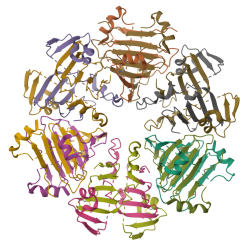 RCSB PDB - 8RNU: CryoEM structure of recombinant human Bri2 BRICHOS ...