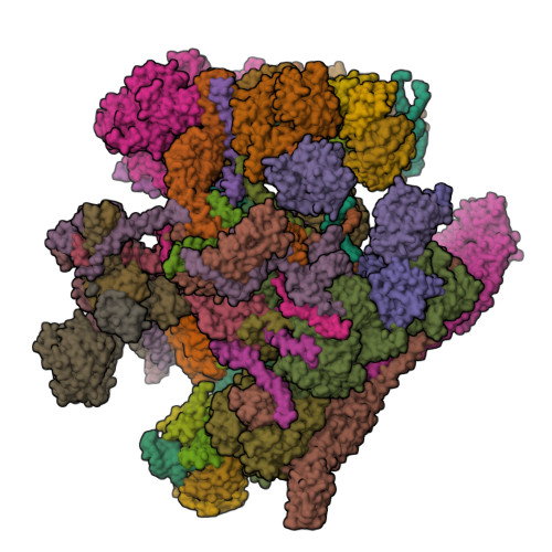 RCSB PDB - 8RO1: Structure of the C. elegans Intron Lariat Spliceosome ...