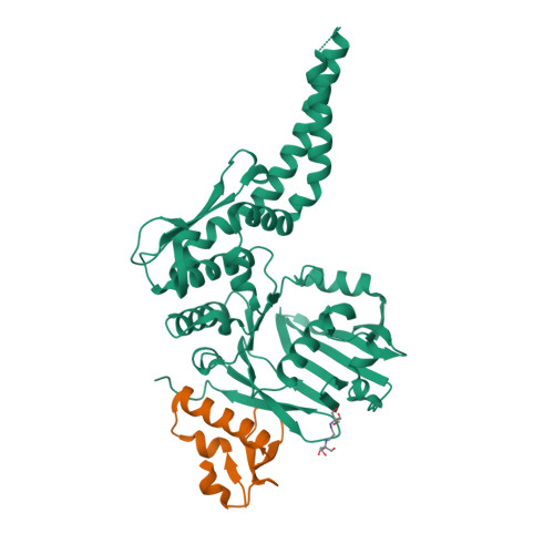 RCSB PDB - 8RO9: Human cohesin SMC1A-HD(longCC-EQ)/RAD21-C complex ...