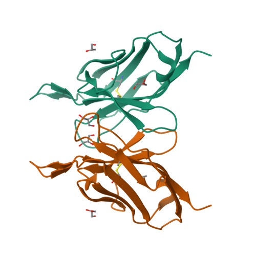 RCSB PDB - 8RPD: Crystal structure of the SMA homodimer