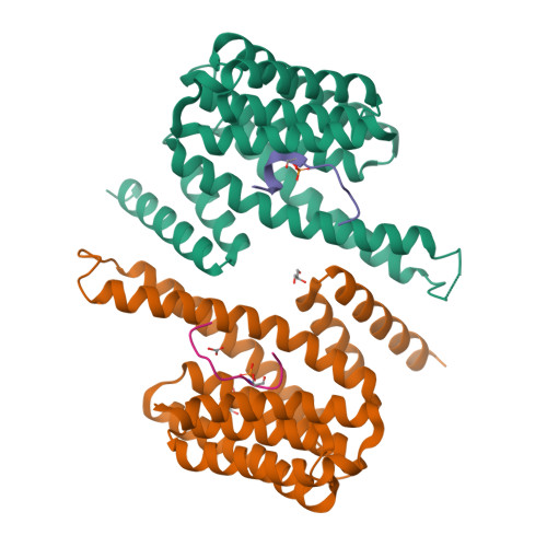 RCSB PDB - 8RRL: 14-3-3 sigma complexed with a phosphopeptide optimized ...