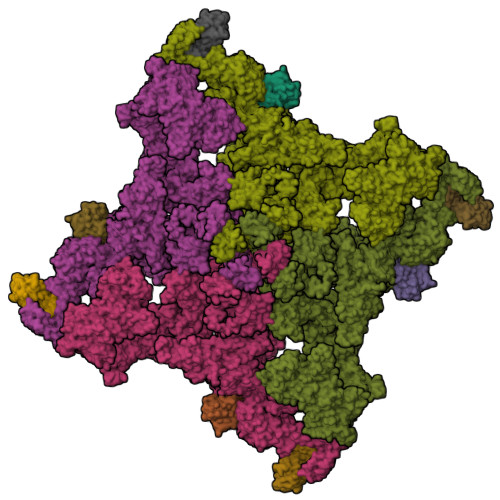 RCSB PDB - 8RRX: Structure of RyR1 reconstituted into lipid nanodisc in ...