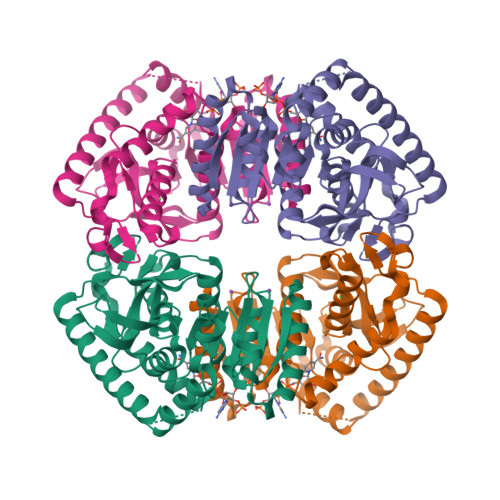 RCSB PDB - 8RS5: Crystal structure of Methanopyrus kandleri malate ...