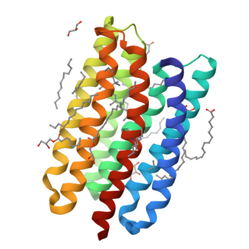 RCSB PDB - 8RSO: Crystal structure of marine actinobacteria clade rhodopsin (MAR) in the ground ...