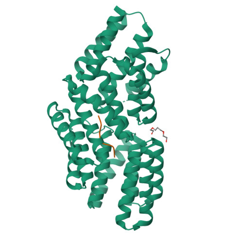 RCSB PDB - 8RSU: Rap from bacteriophage Phi3T in presence of pheromone ...