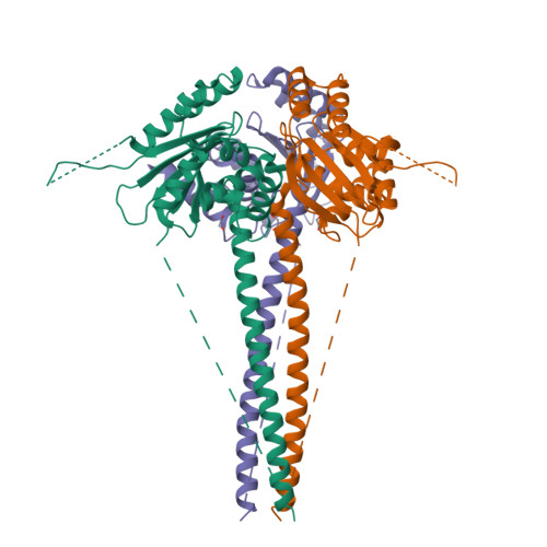 RCSB PDB - 8RT0: BTV-15 VP5 pH 6.0