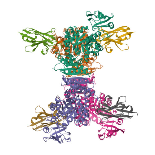 RCSB PDB - 8RTF: Crystal structure of Trypanosoma congolense pyruvate ...