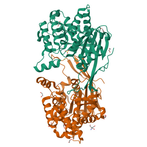 RCSB PDB - 8RUF: Crystal structure of Rhizobium etli L-asparaginase ...