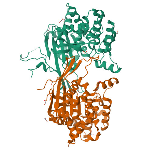 RCSB PDB - 8RUG: Crystal structure of Rhizobium etli L-asparaginase ...