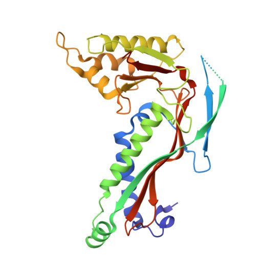 RCSB PDB - 8RVJ: Engineered Encapsulin P3P4