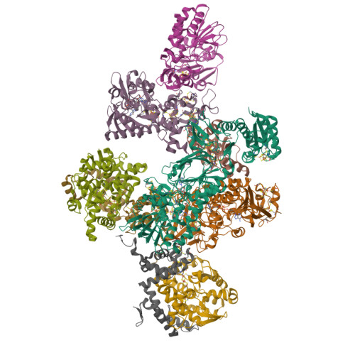 RCSB PDB - 8RVY: CryoEM structure of the Elp-Hdr complex of ...